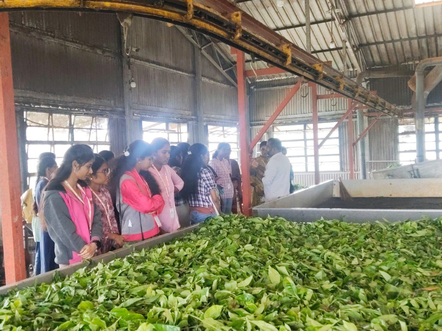 INDUSTRIAL VISIT TO MASCO TEA FACTORY – SSM College of Arts & Science ...